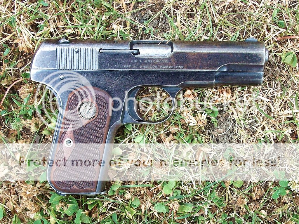 rampant colts facing forward | Page 2 | Colt Forum