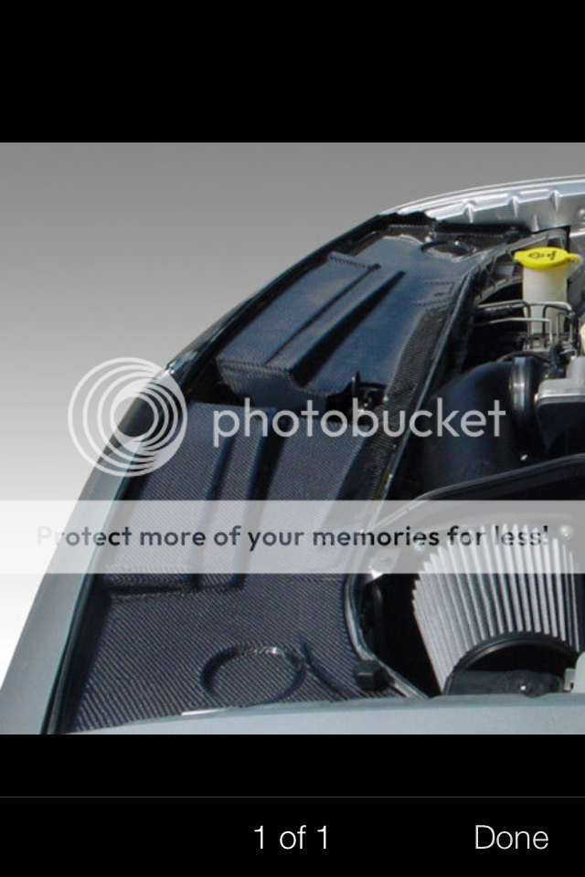 Radiator Covers for Challenger | Dodge Challenger Forum