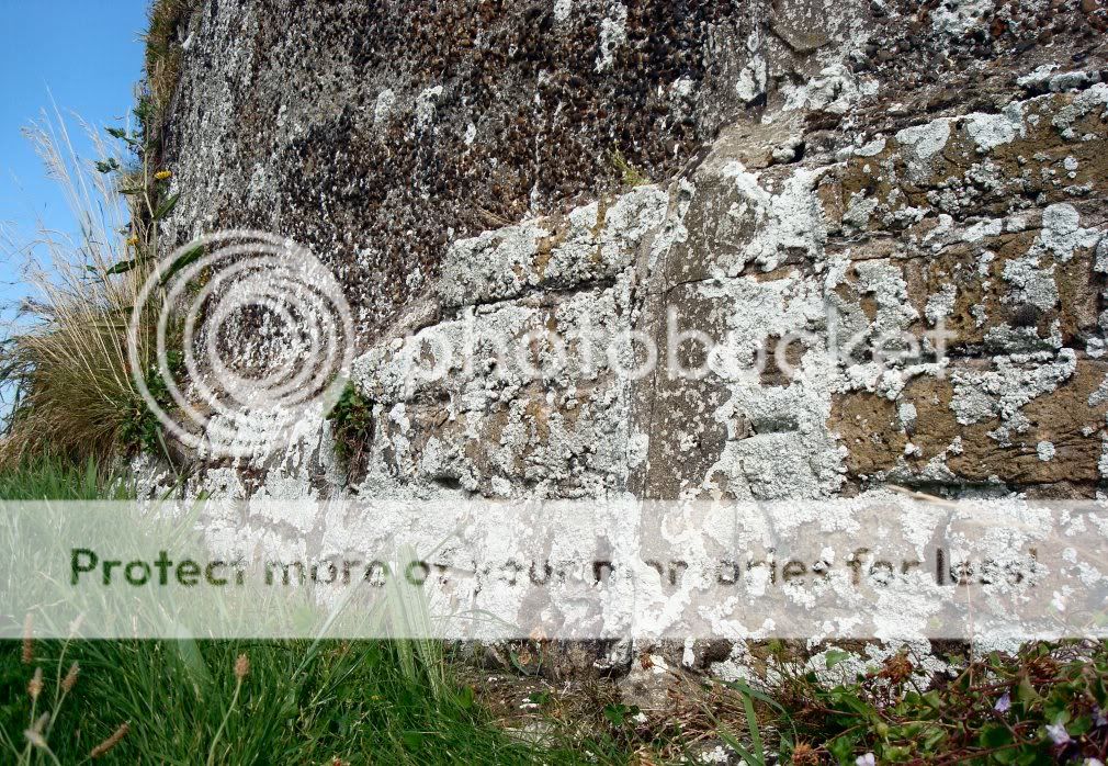 Cut Mark: Felixstowe, Martello Tower No. 2 - Bench Mark Database