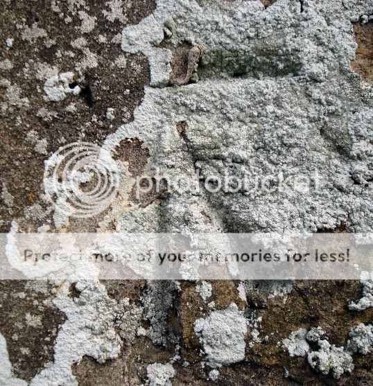 Cut Mark: Felixstowe, Martello Tower No. 2 - Bench Mark Database