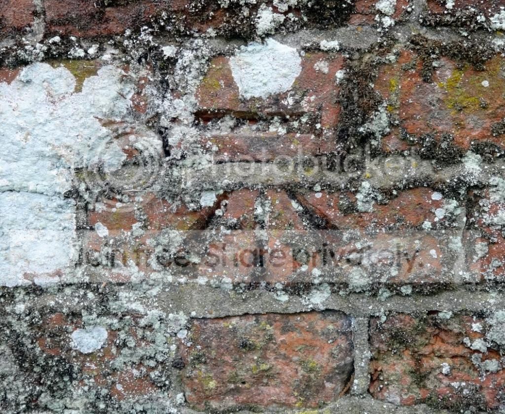 Cut Mark: Tuddenham St. Martin, West Railway Bridge - Bench Mark Database