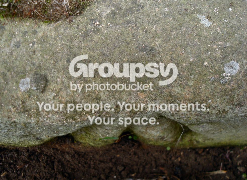 Pivot: Wickersley, Holling Hall Farm - Bench Mark Database