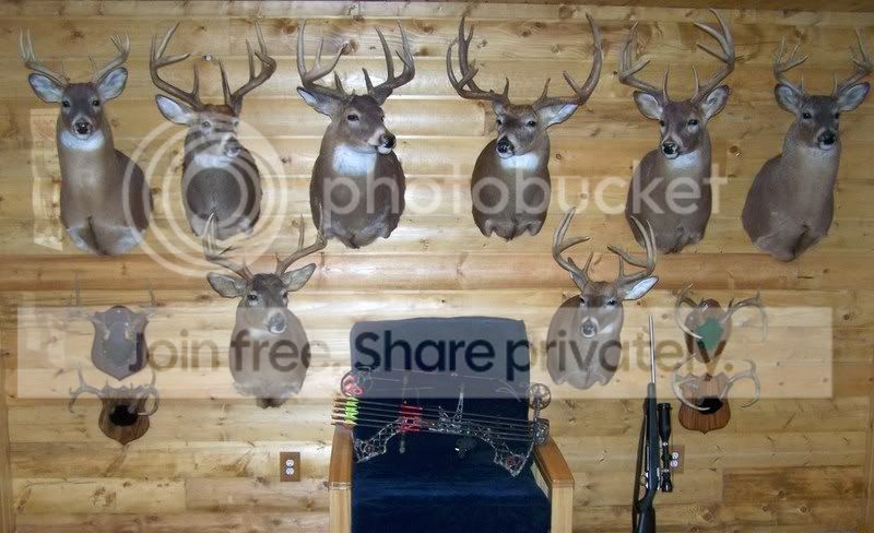 What's Your Deer Room Look Like? - Page 4 - Hunting Beast™ / The ...