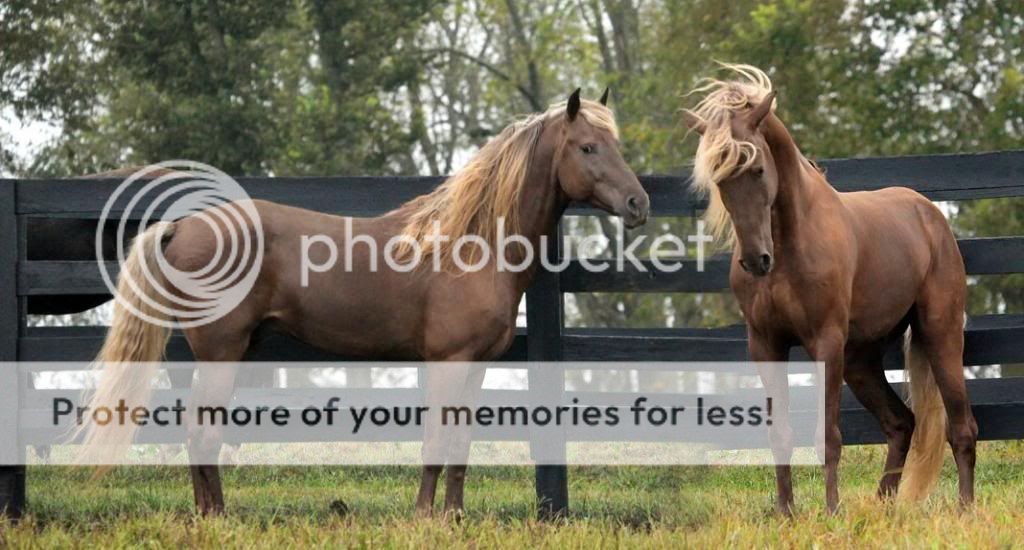 eventjes mijn werk laten zien:) • Bokt.nl