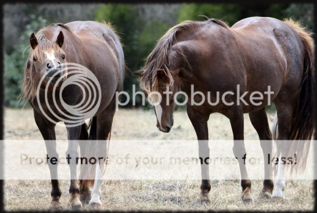 eventjes mijn werk laten zien:) • Bokt.nl